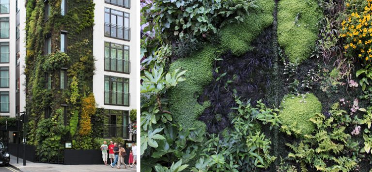 Patrick Blanc green walls are beautiful – but are they sustainable ...