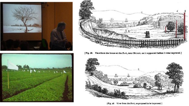 November | 2011 | Garden Design and Landscape Architecture